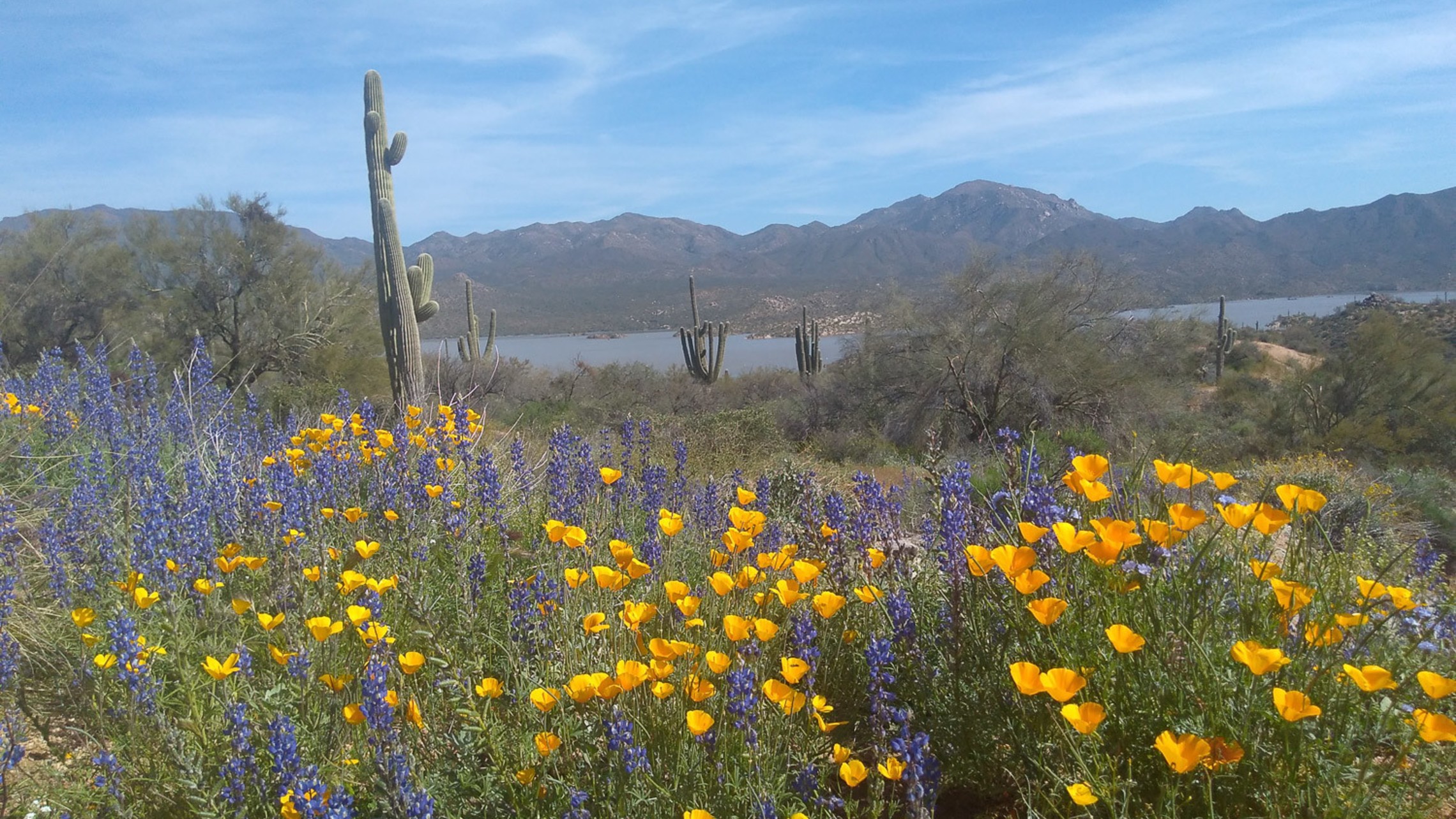 Diocese of Phoenix, Arizona | Society of Our Lady of the Most Holy Trinity